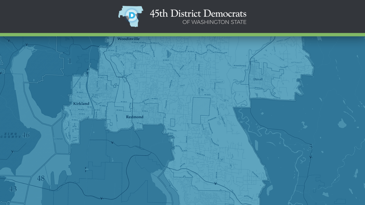 45th LD 11/7/23 General Election Endorsement Guide - 45th District ...